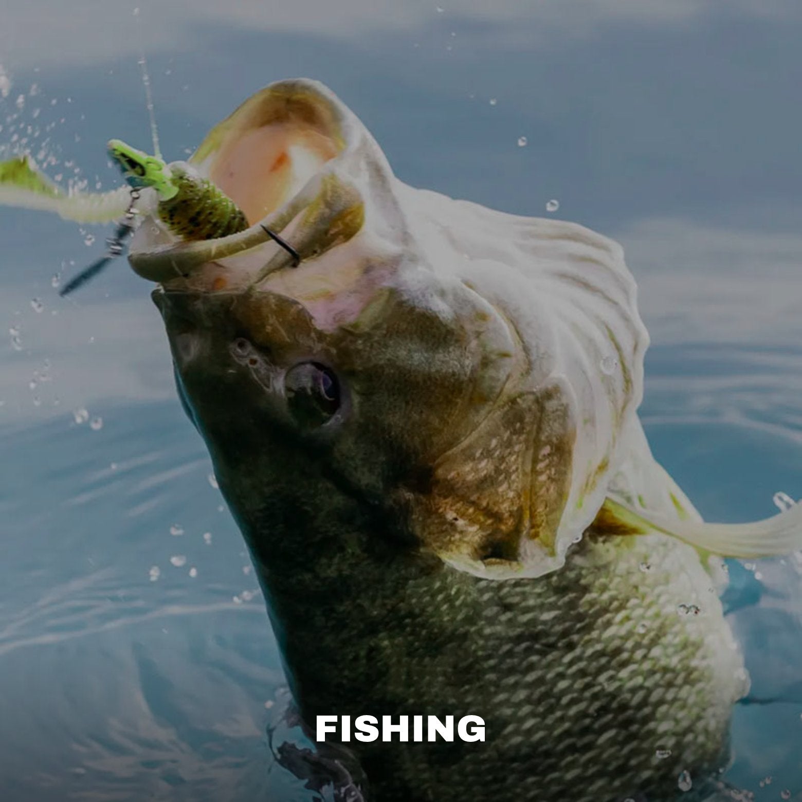 Fishing – 9km-dwlife