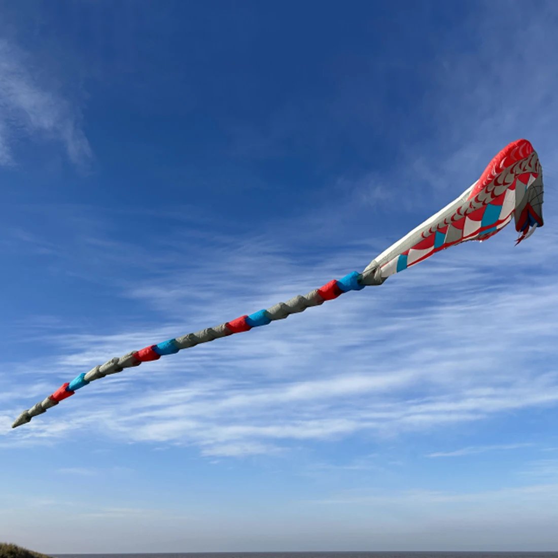 9KM 20m Cobra Kite Line Laundry Kite Pendant Soft Inflatable Show Kite ...