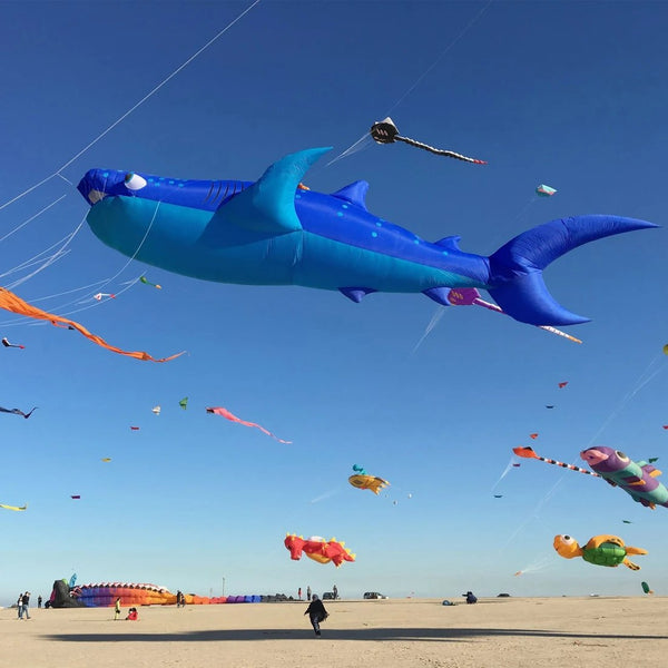 9KM 6m Whale Shark Kite Line Laundry Kite Pendant Soft Inflatable Show ...