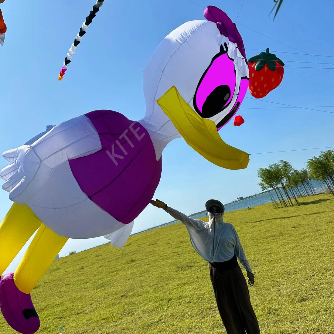 9KM 3.5m Duck Kite Line Laundry Kite Pendant Soft Inflatable Show Kite ...