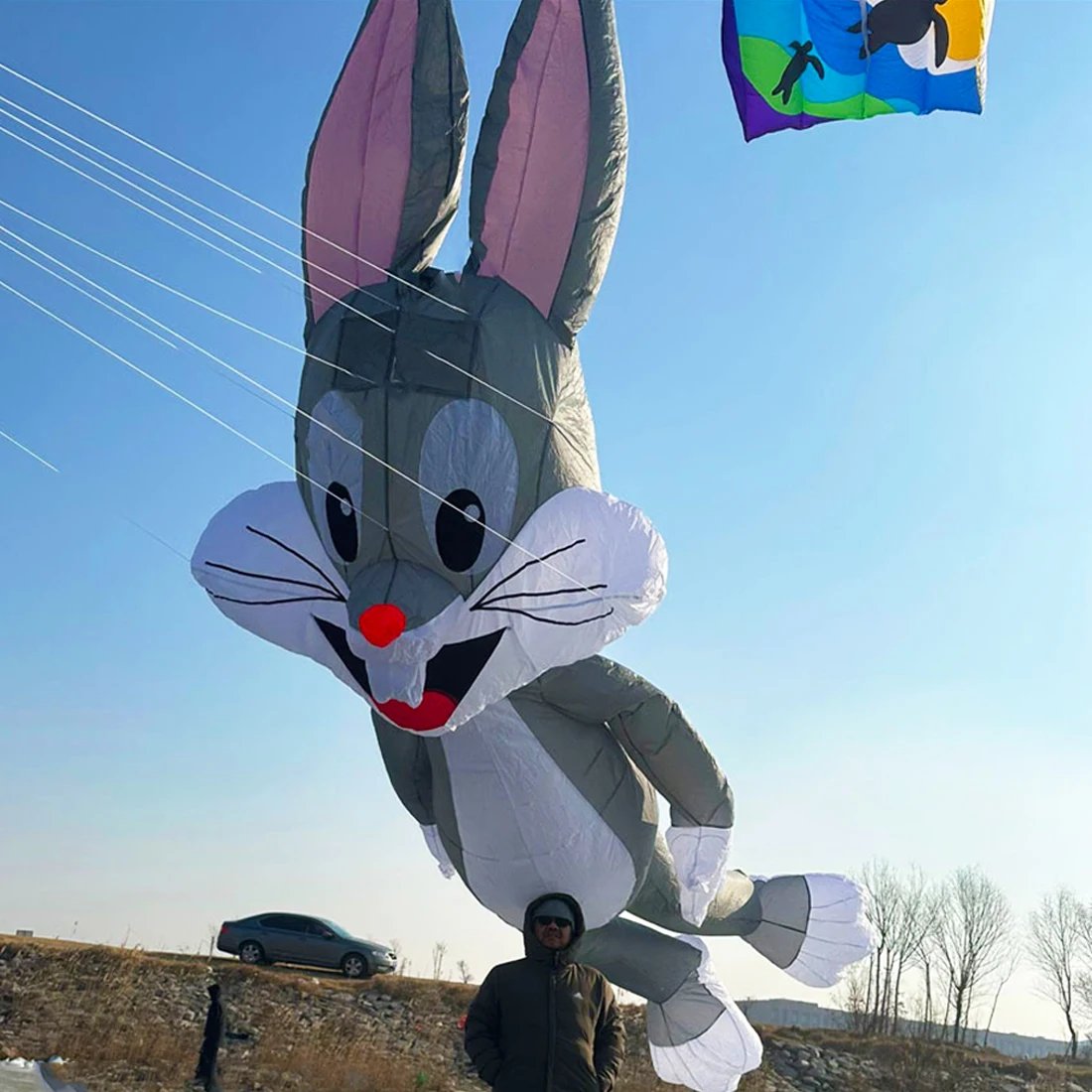 9KM 6m Rabbit Kite Line Laundry Kite Pendant Soft Inflatable Show Kite ...