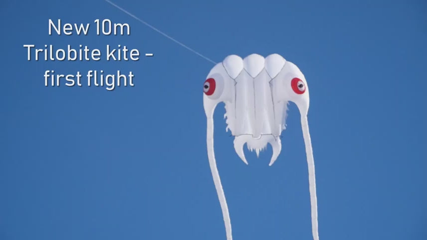 Large 2sqm~16sqm White Trilobite Kite – 9km-dwlife