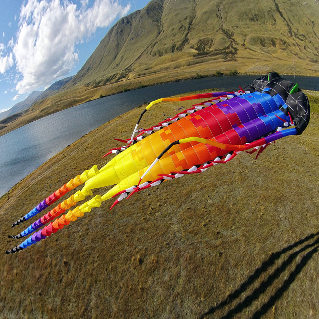 15m Ancient Trilobite Kite Line Laundry Kite Soft Inflatable with Bag ...