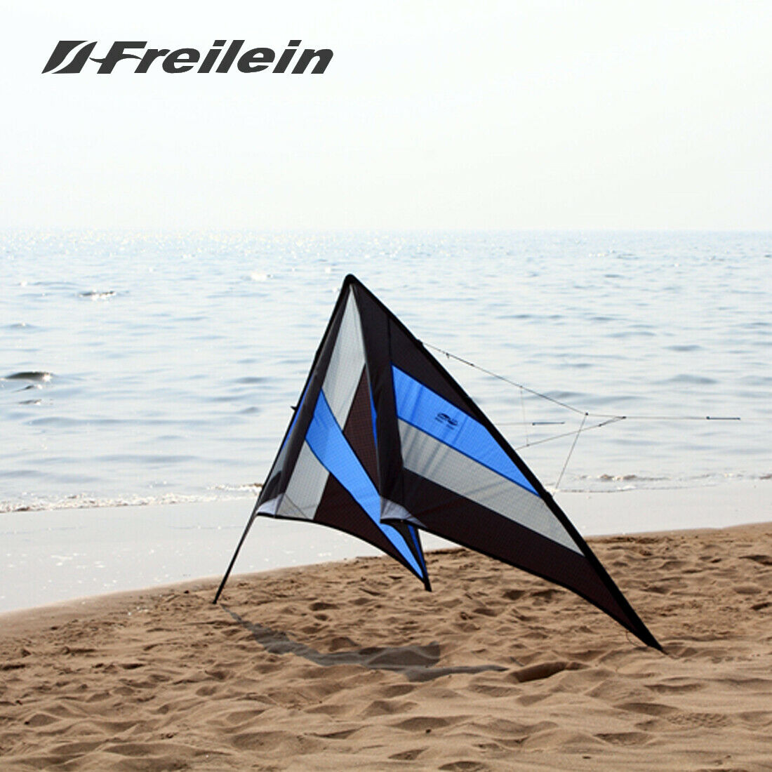 Dual Line Kite Porfessional Stunt Kite – 9km-dwlife