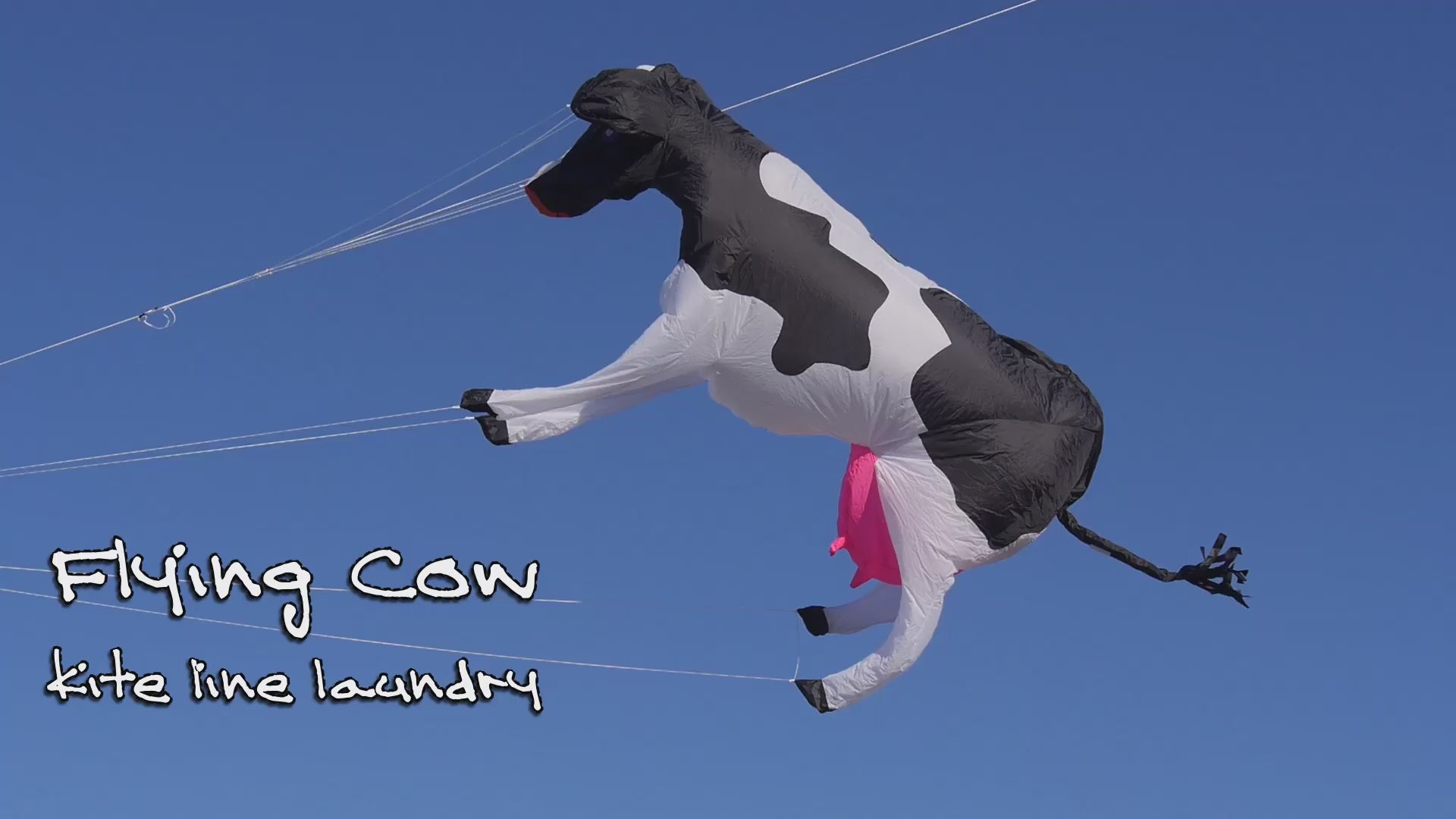 3m Cow Line Laundry Kite Soft Inflatable Cow Kite with Bag – 9km-dwlife