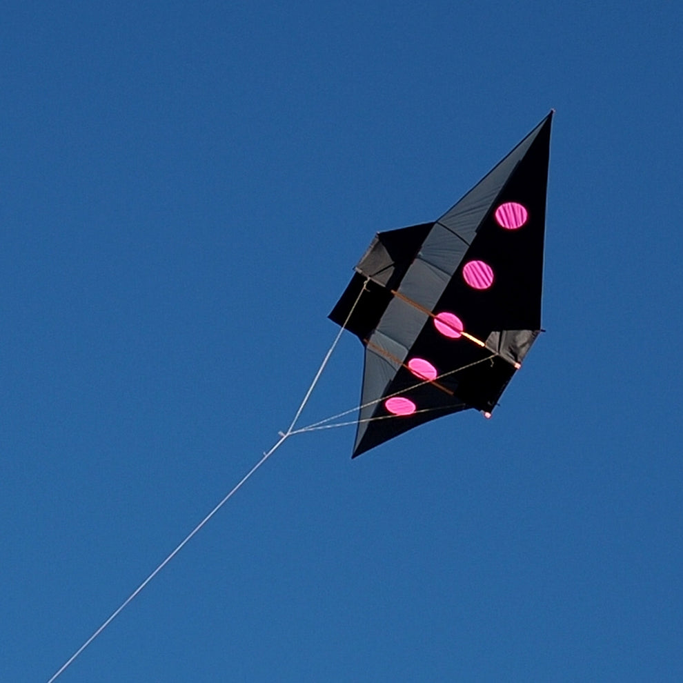 3.3M UFO Kite Single Line Kites – 9km-dwlife