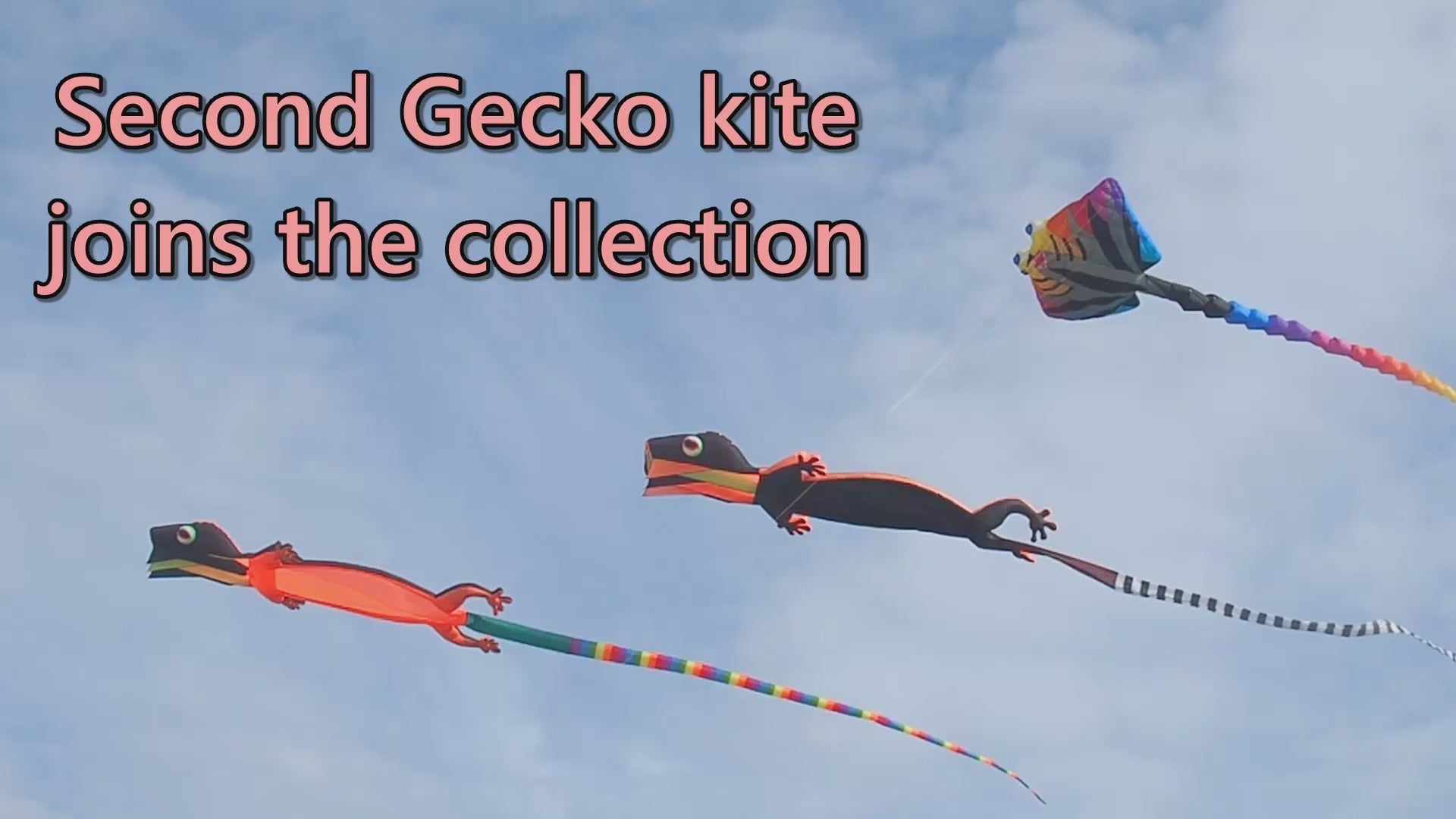 12m Giant Gecko Kite Single Line Soft Inflatable Kite 30D Ripstop Nylo ...