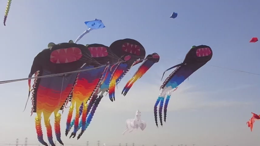 15m Ancient Trilobite Kite Line Laundry Kite Soft Inflatable with Bag ...